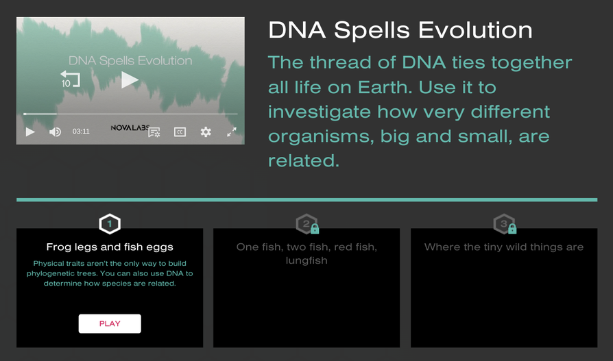 WATCH THE DNA VIDEO FIRST!